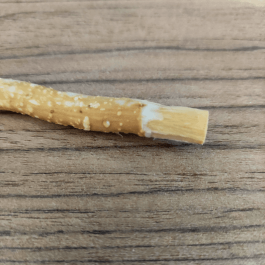 Miswak cómo usar el cepillo natural de Oriente: Historia y uso