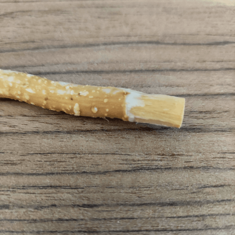 Miswak cómo usar el cepillo natural de Oriente: Historia y uso